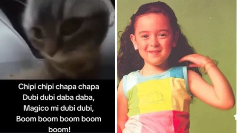 Chipi Chipi Chapa Chapa: The Dubidubidu Meme Explained