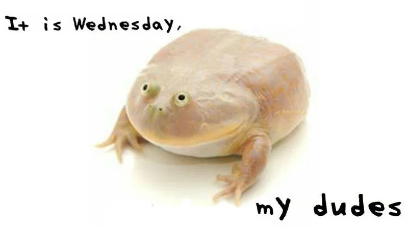 It's Wednesday My Dudes