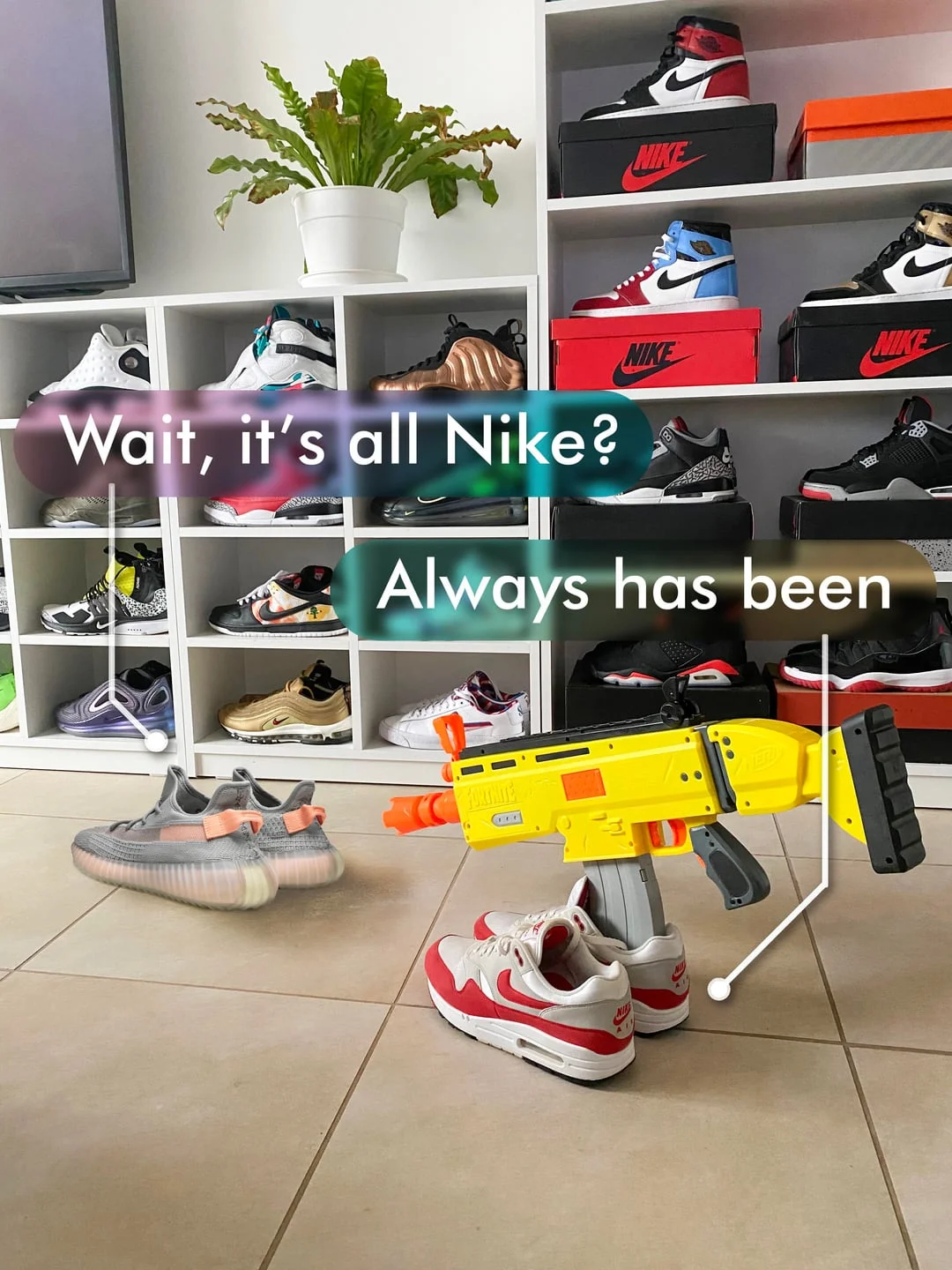 Sneaker Collecting Meme